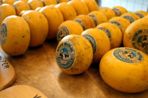 Texel: Hollands Inselparadies in der Nordsee || TRIP TO THE PLANET